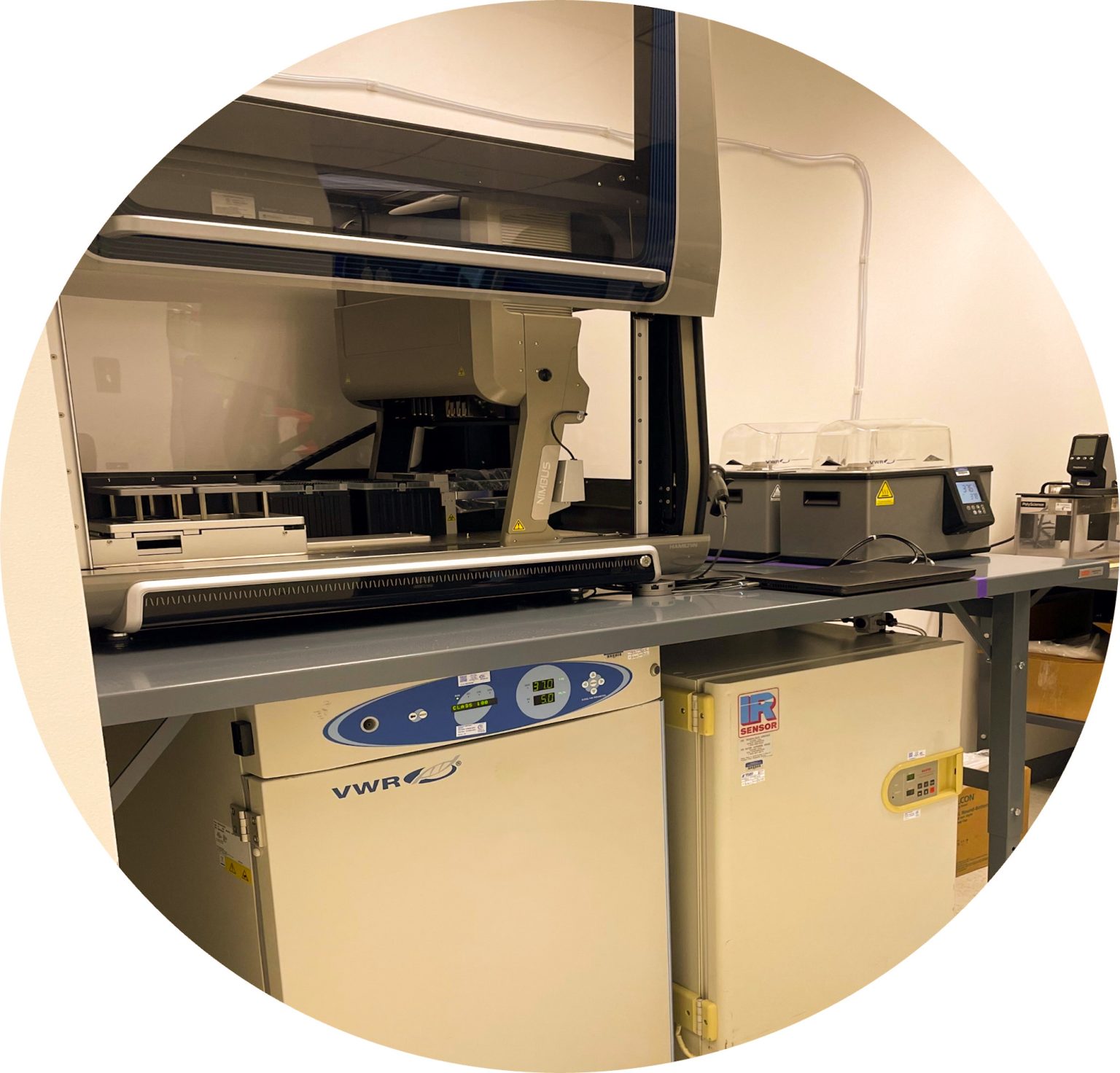 Services - Accelevir